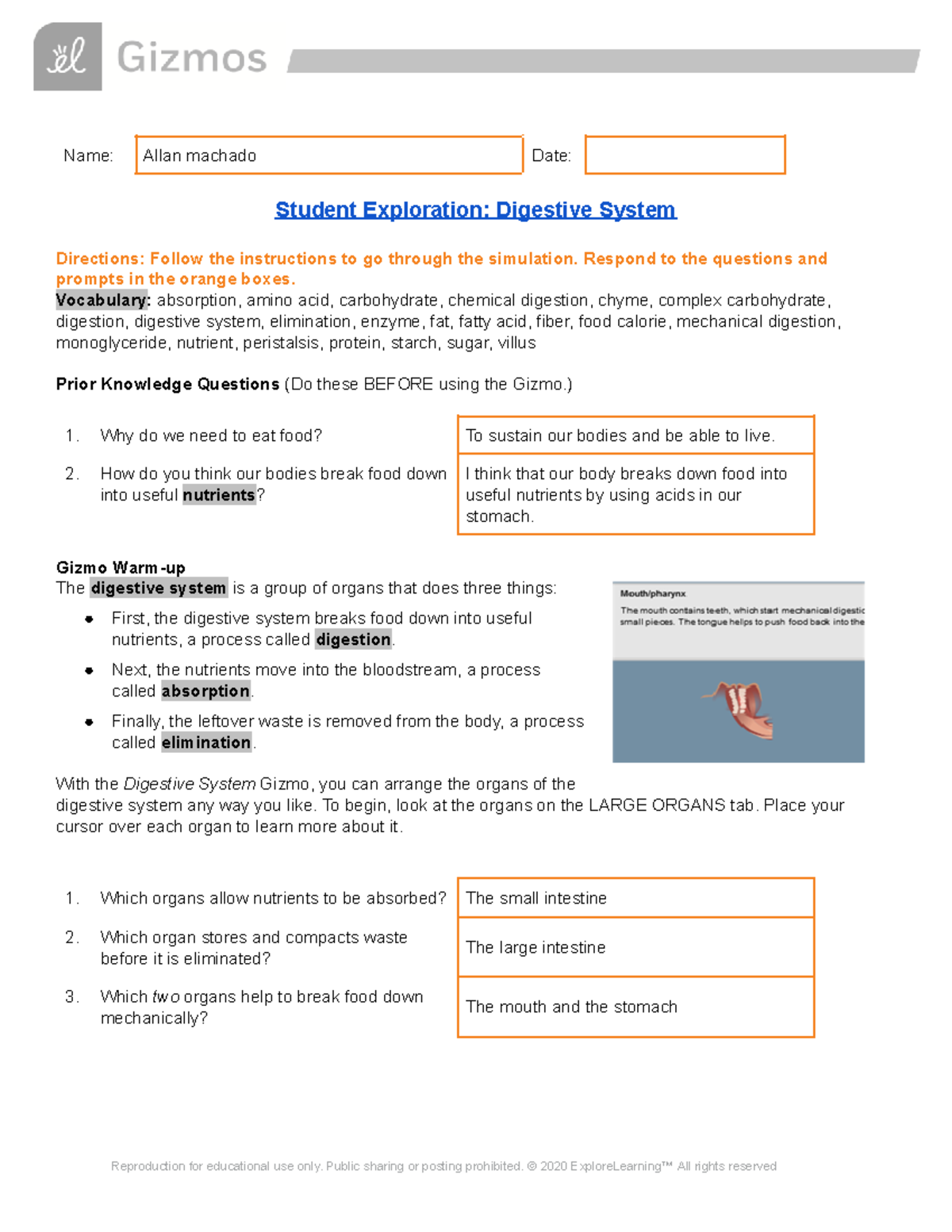 Digestive System gizmo - Name: Allan machado Date: Student Exploration ...
