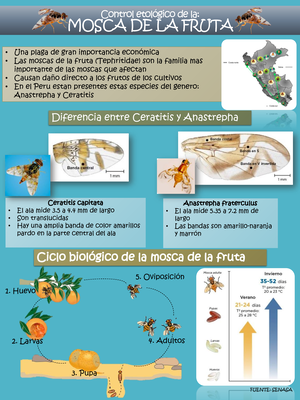 CONTROL ETOLÒGICO PARA LAS PLAGAS TRAMPAS UTILIZADAS PARA EN CONTROL DE ...