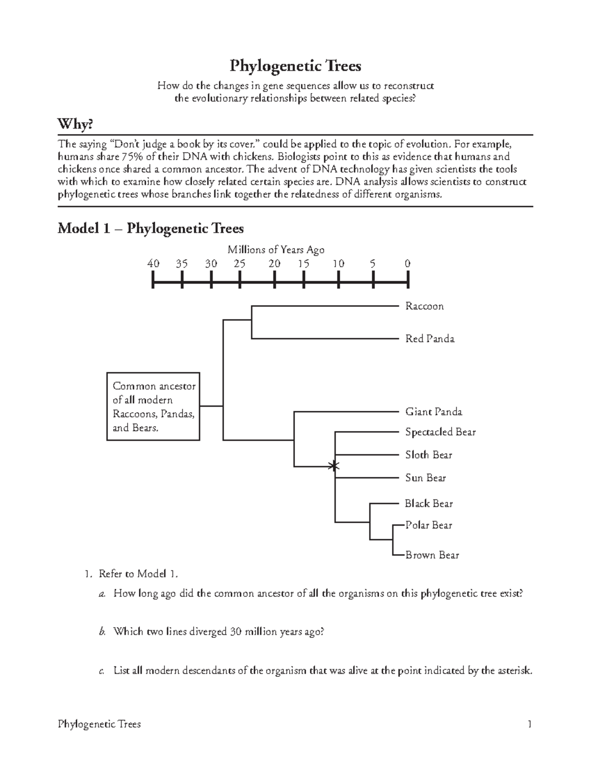 Pogil Phylogenetic Trees - Phylogenetic Trees 1 Phylogenetic Trees How ...