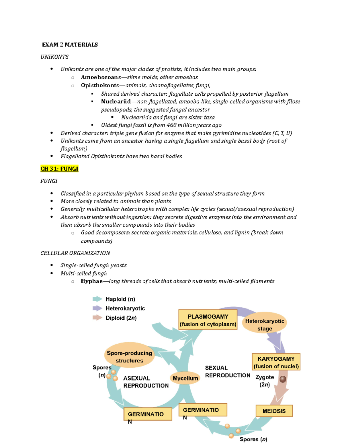 Bio Notes 2 - instructor: Juan Lopez-Bautista - EXAM 2 MATERIALS ...