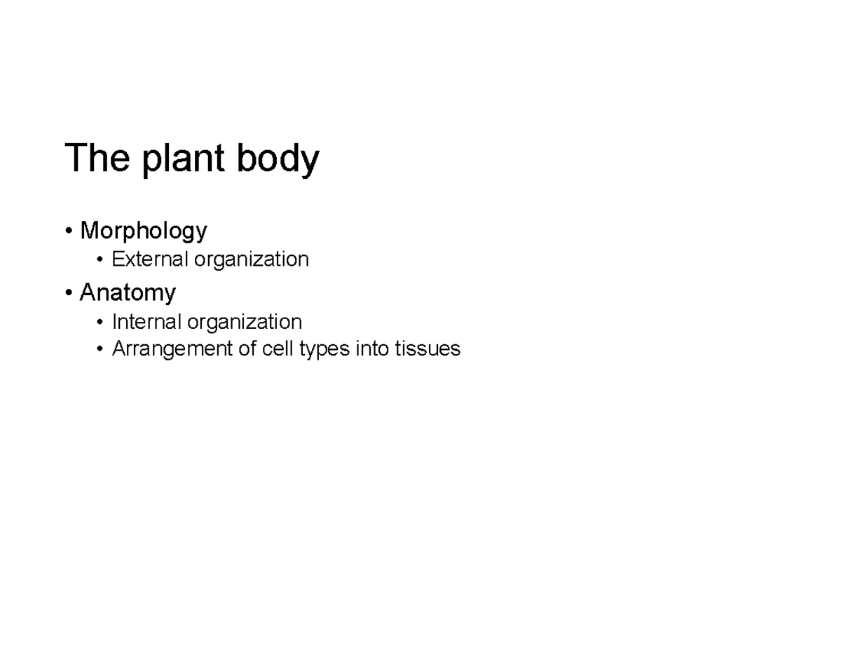 Diversity Lec 8 - Lecture notes 8 - The plant body • Morphology ...
