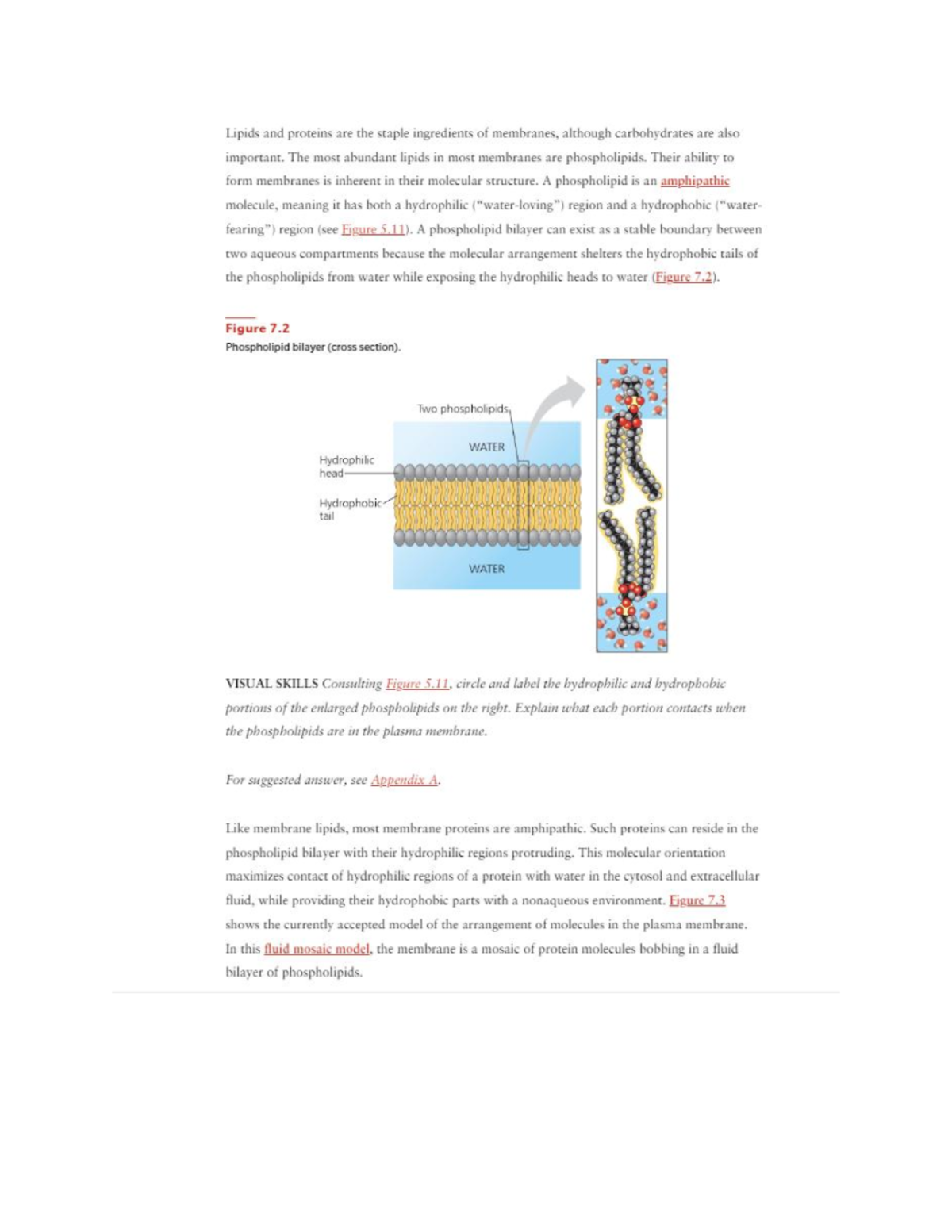 Life at the Edge - BIOLOGY/ ZOOLOGY 101 - Studocu