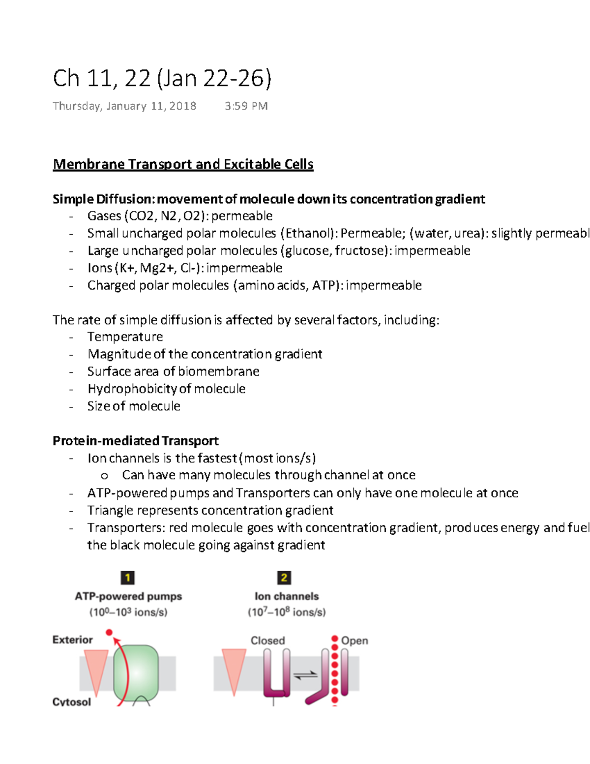Ch 11 22 Jan 22 26 - Notes Ch 11 to 22 - Membrane Transport and ...