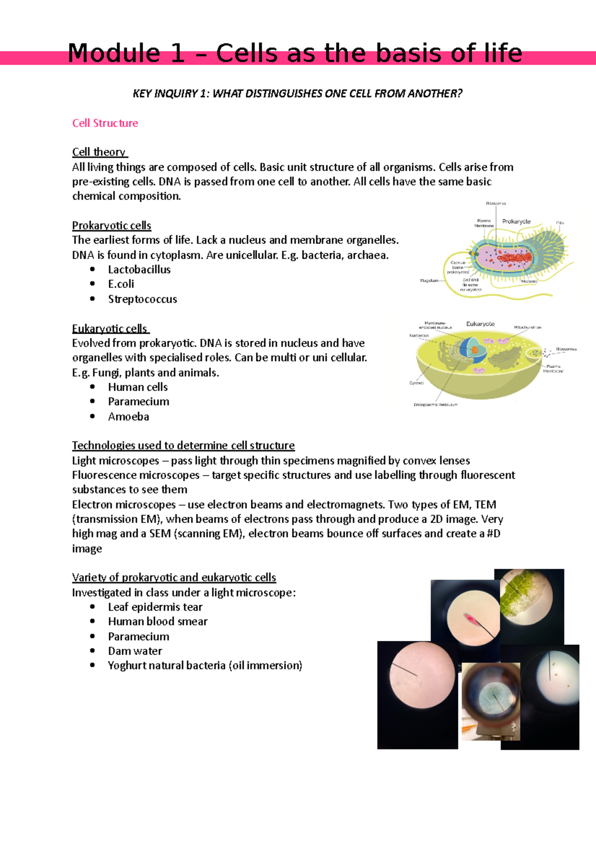 Module 1 - Cells as the basis of life - KEY INQUIRY 1: WHAT ...