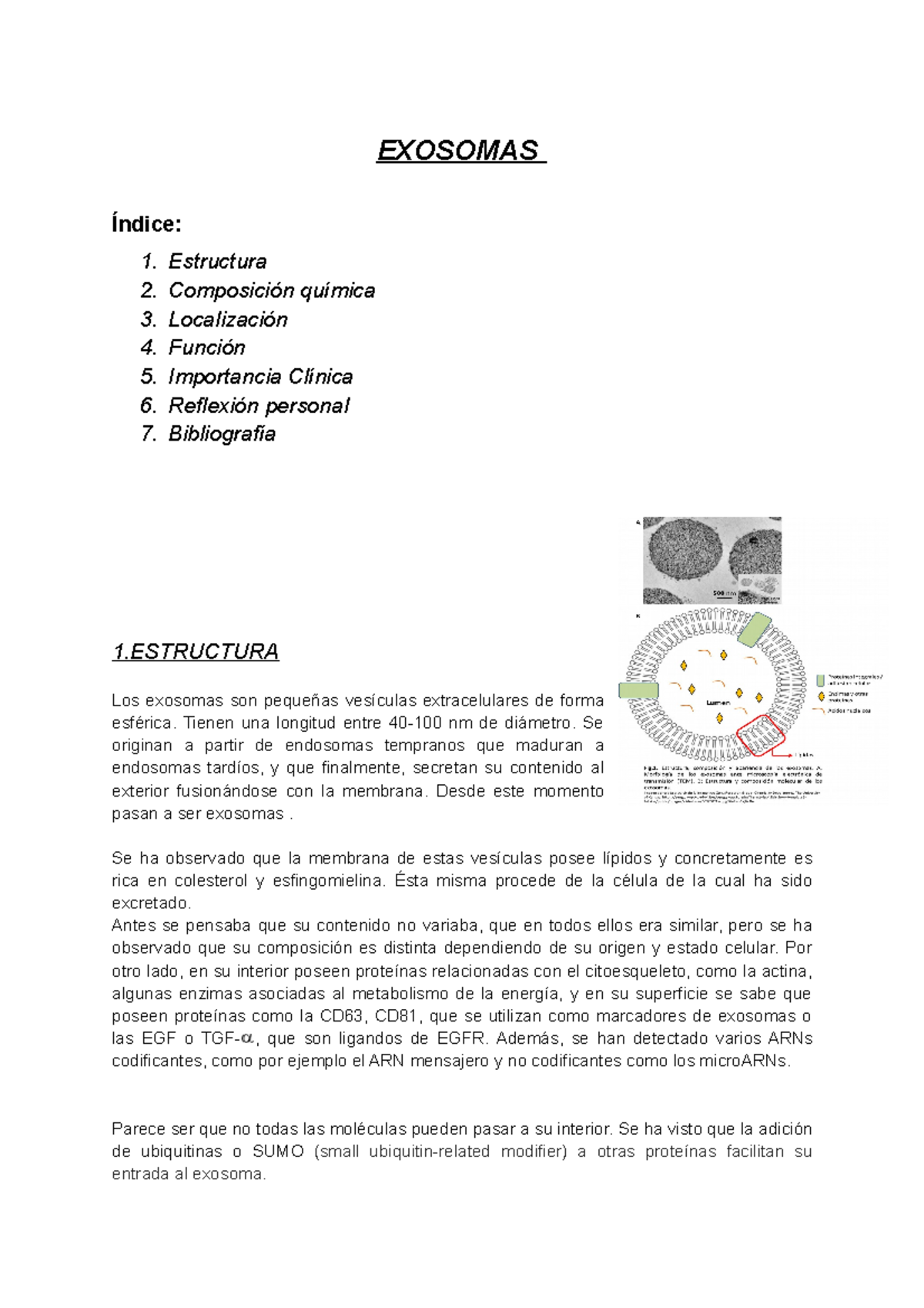Exosomas - Diverso temario sobre biología I en el grado de medicina ...