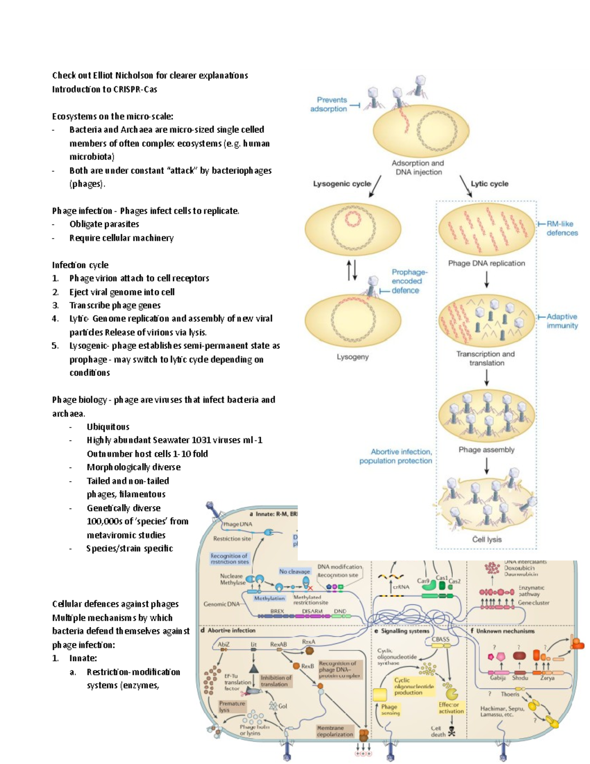 CRISPR Cas and Gene editing - 6H5Z1036 - MMU - Studocu