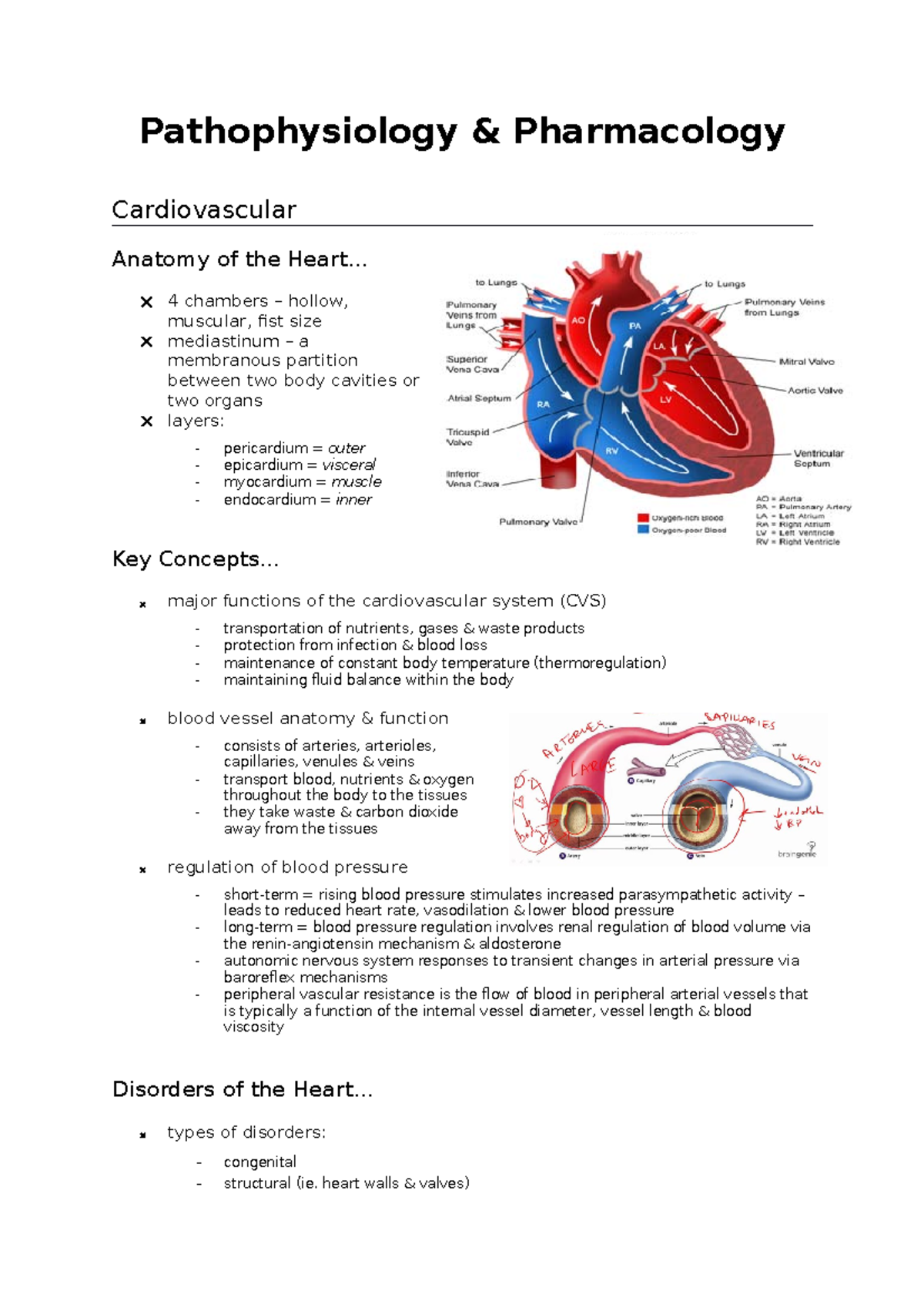 Pathophysiology - cardiovascular notes - Pathophysiology & Pharmacology ...
