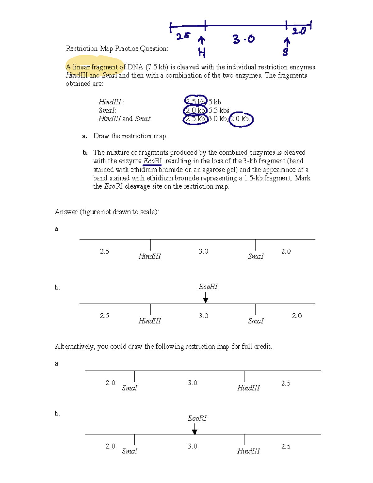 Week 4 and 5 Extra Practices II (restriction map) - Restriction Map ...
