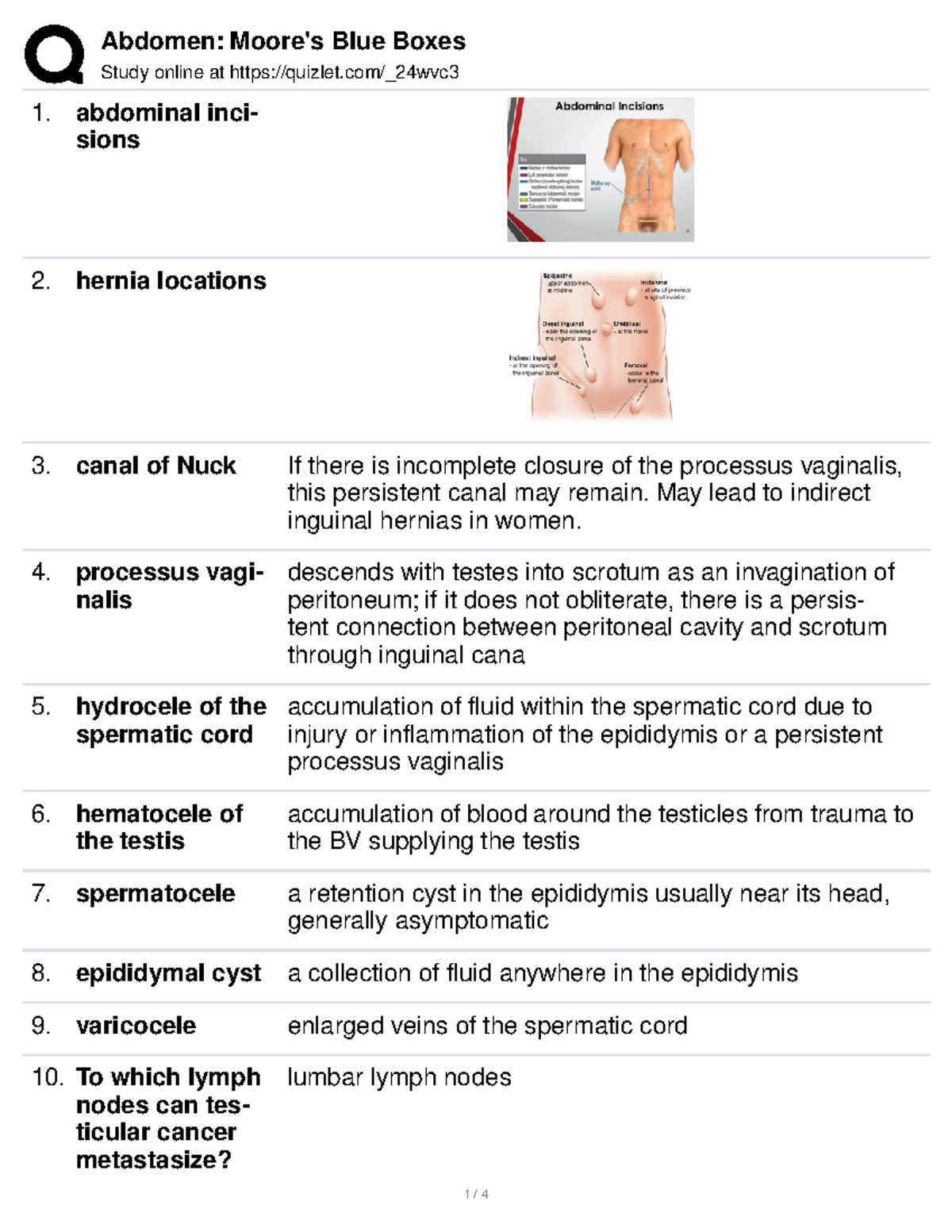 Abdomen Moore Blue Boxes - Study online at quizlet/_24wvc abdominal ...