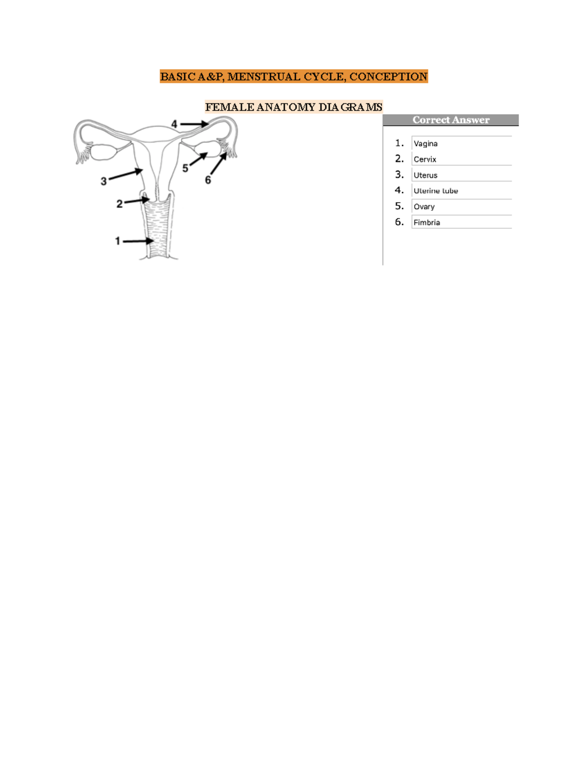 NURS 450 Exam 1 comprehensive study guide - BASIC A&P, MENSTRUAL CYCLE ...