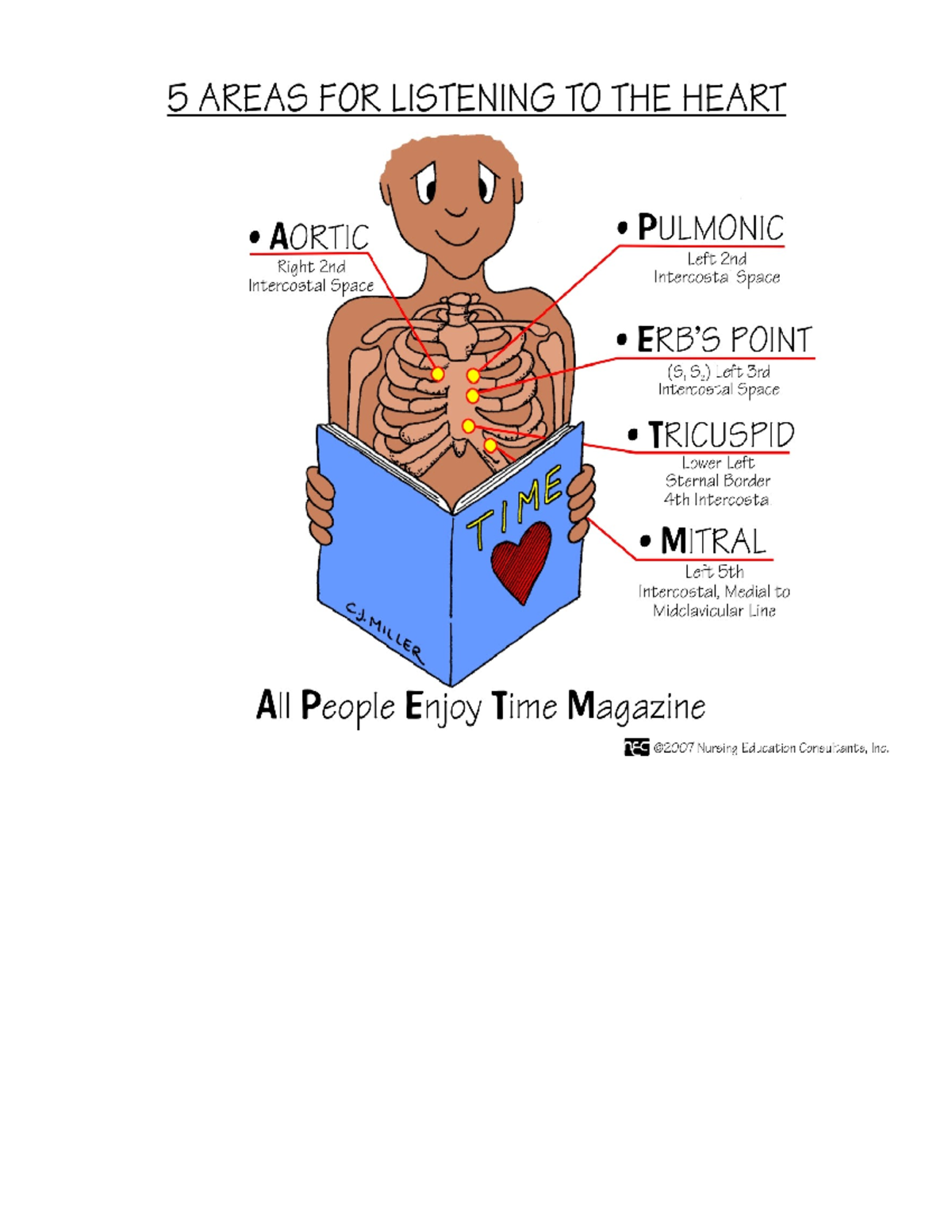 Heart Sound Locations - 5 AREAS FOR LISTENING TO THE HEART AORTIC ...