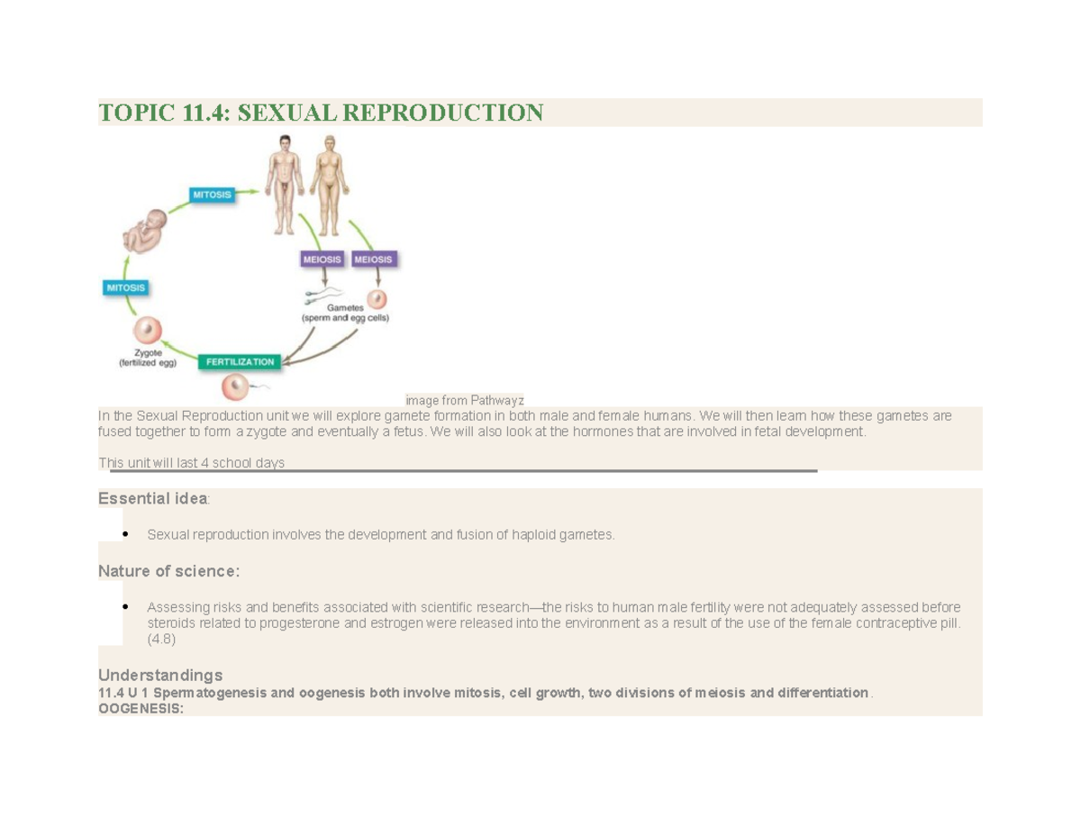11.4 Reproduction Lecture notes - TOPIC 11: SEXUAL REPRODUCTION image ...