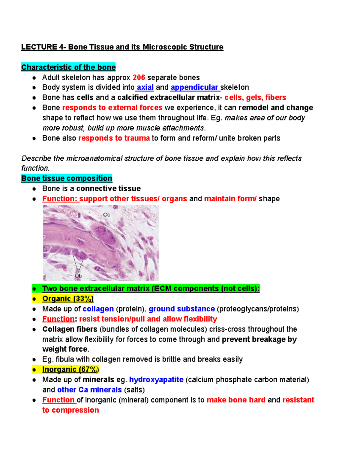 HUBS 191 Combined Notes - LECTURE 4- Bone Tissue and its Microscopic ...