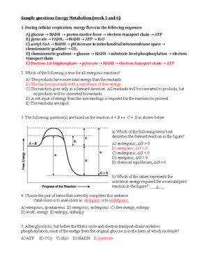 Chapter 4-5 - Structure And Function Of Cells (ML) - Chapter 4- 5 - Structure and function of ...