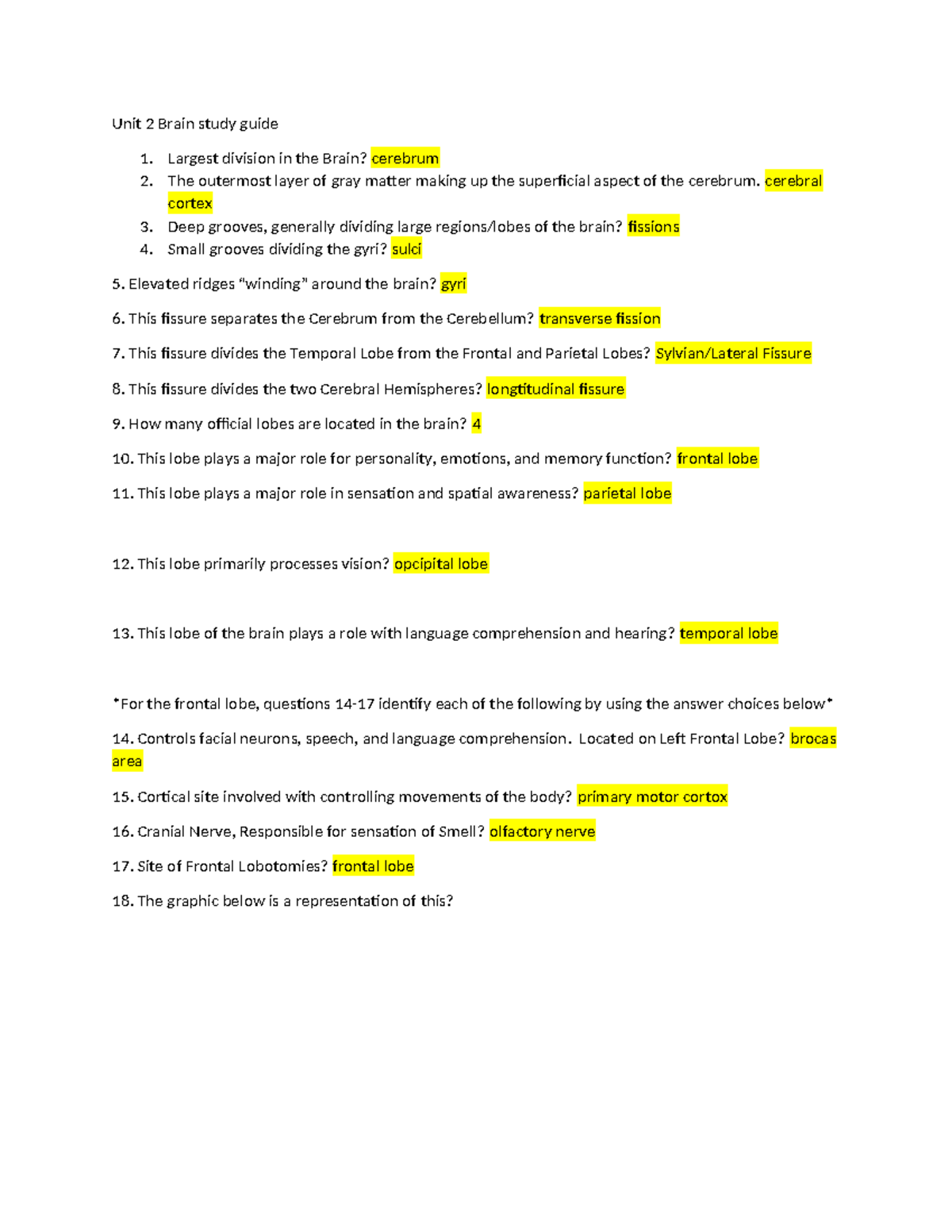 Unit 2 Brain study guide - Unit 2 Brain study guide 1. Largest division ...