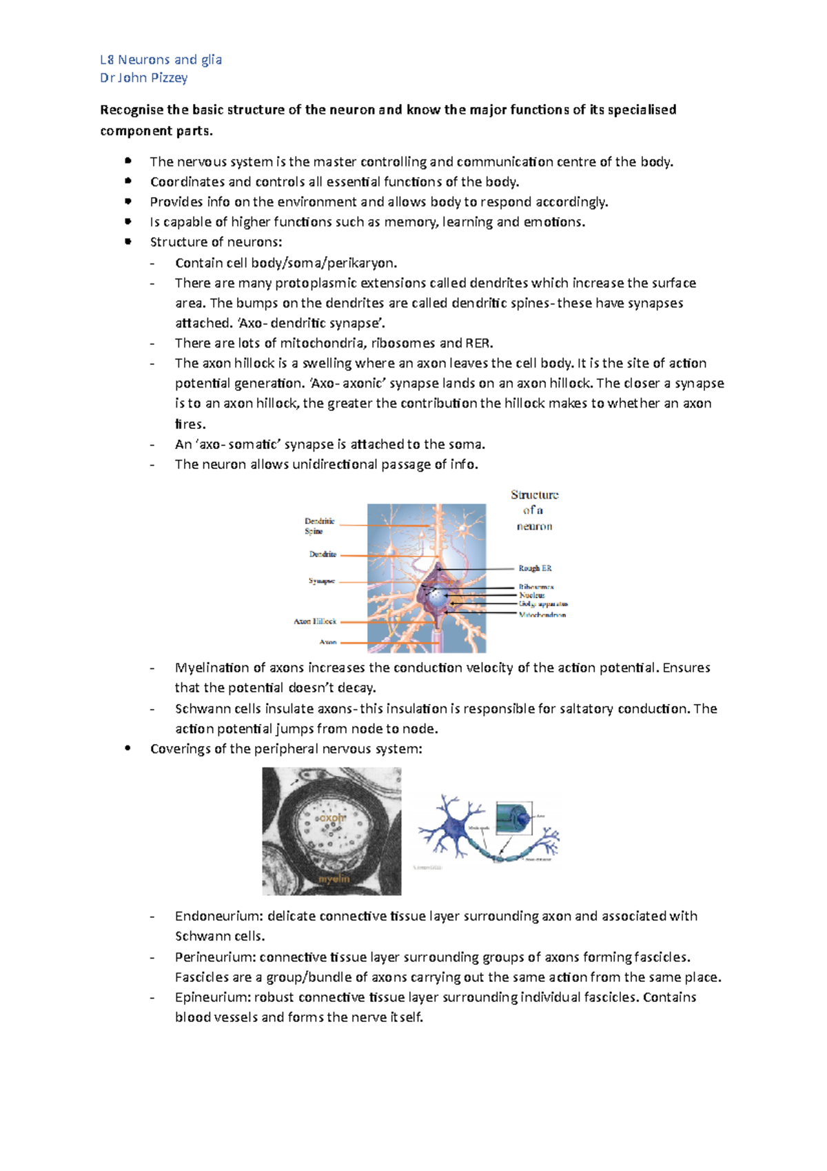 L8 Neurons and glia - Dr John Pizzey Recognise the basic structure of ...