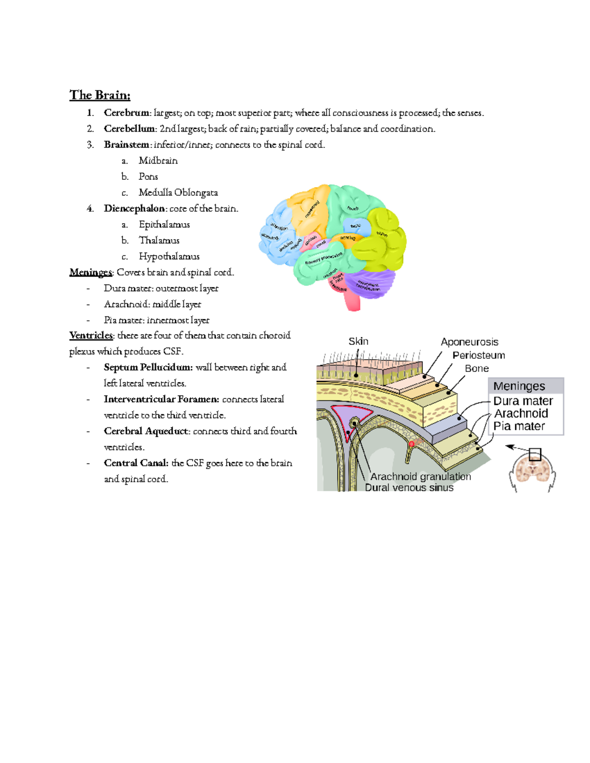The Brain - notes - Deprecated API usage: The SVG back-end is no longer ...