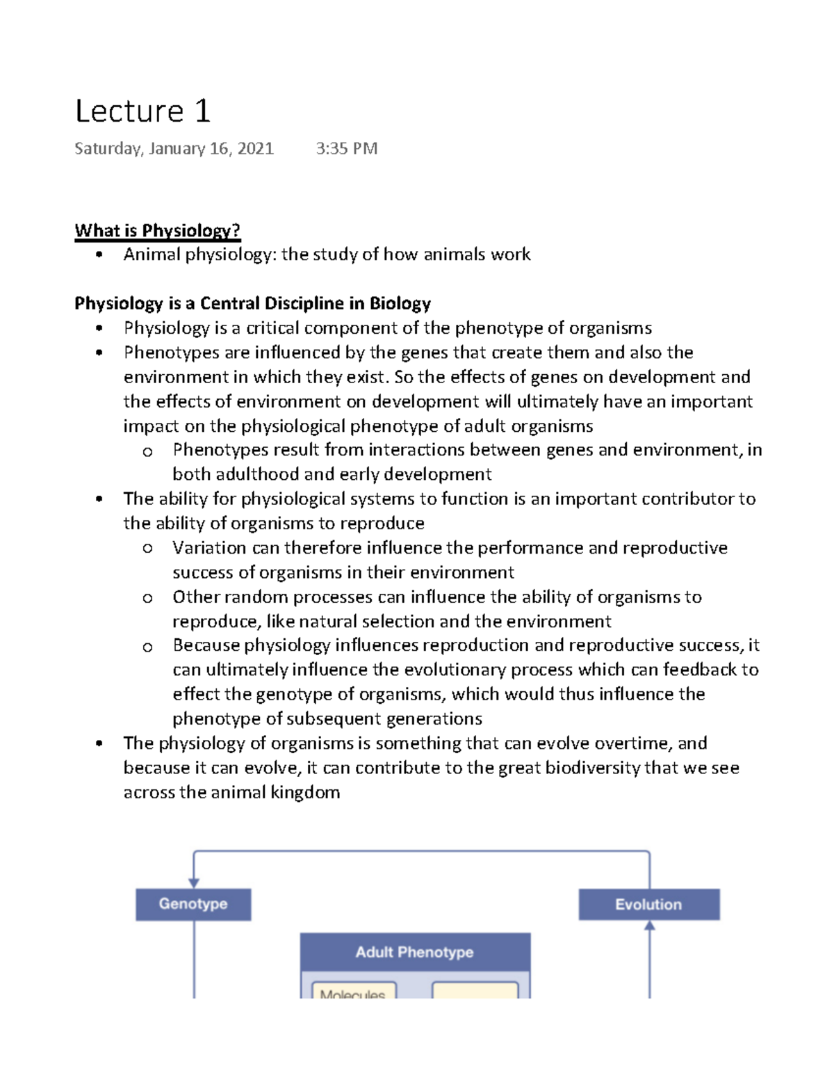 Bio 2A03 Lecture 1 - What is Physiology? - Animal physiology: the study ...