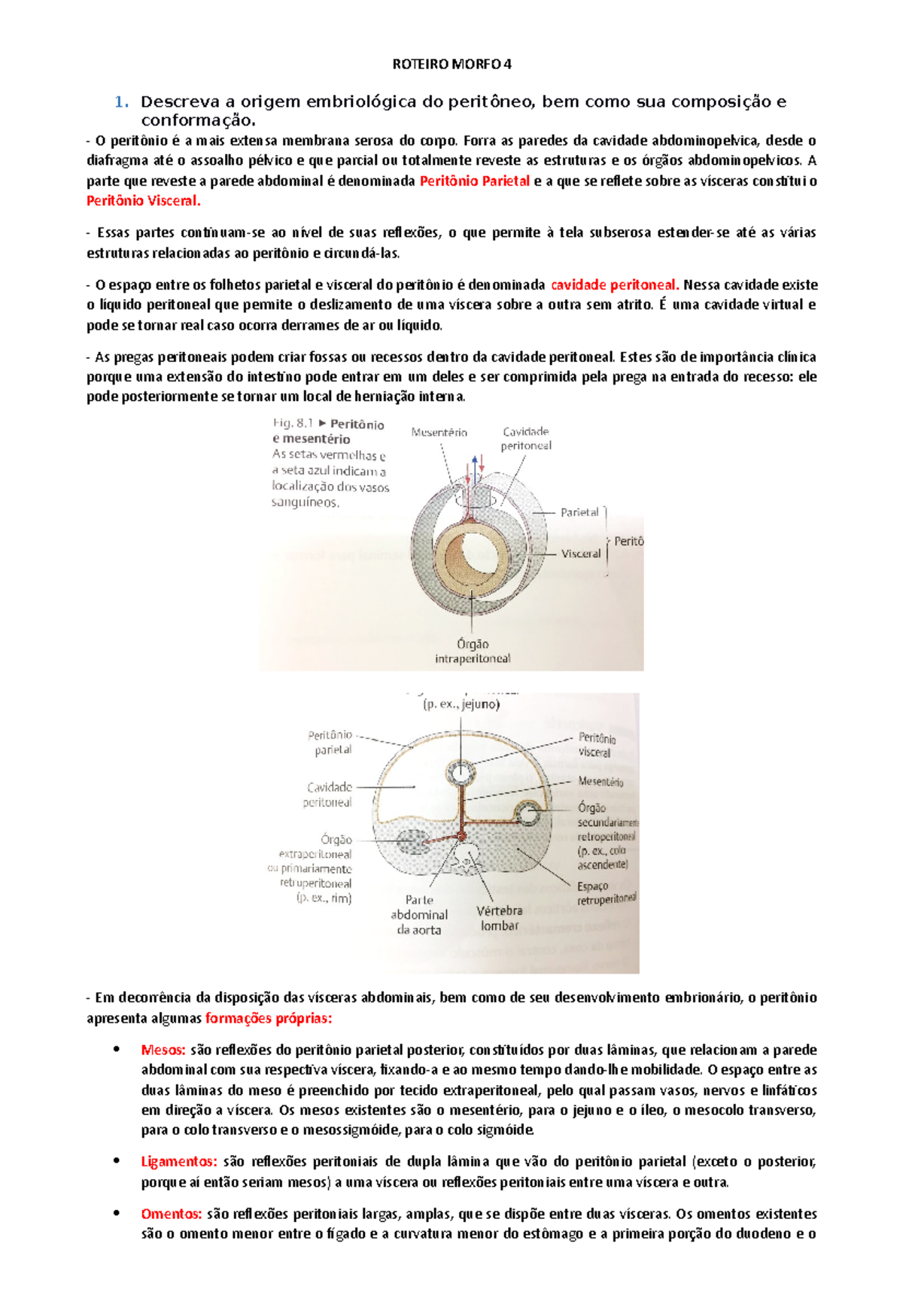 Roteiro Morfo 4 - peritônio - ROTEIRO MORFO 4 1. Descreva a origem embriológica do peritôneo ...