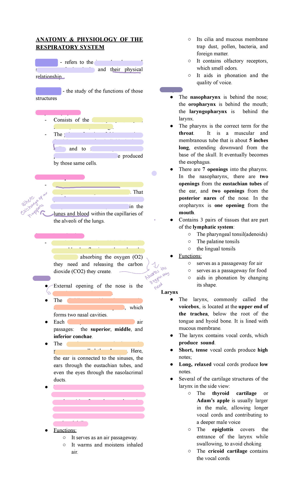 Science 9 first quarter - ANATOMY & PHYSIOLOGY OF THE RESPIRATORY ...
