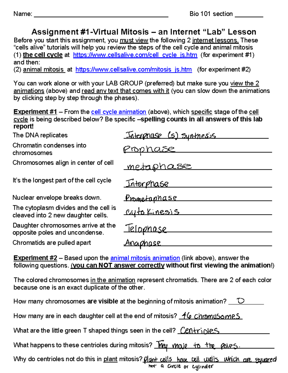 BIO 101 Assignment 1 worksheet on Mitosis - Name ...