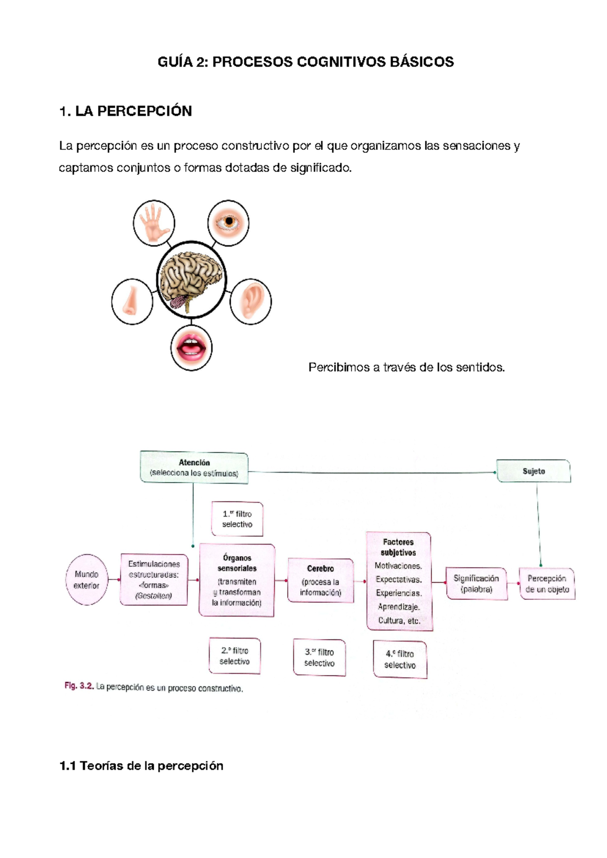 GUÍA 2- Procesos Cognitivos Básicos - GUÍA 2: PROCESOS COGNITIVOS ...