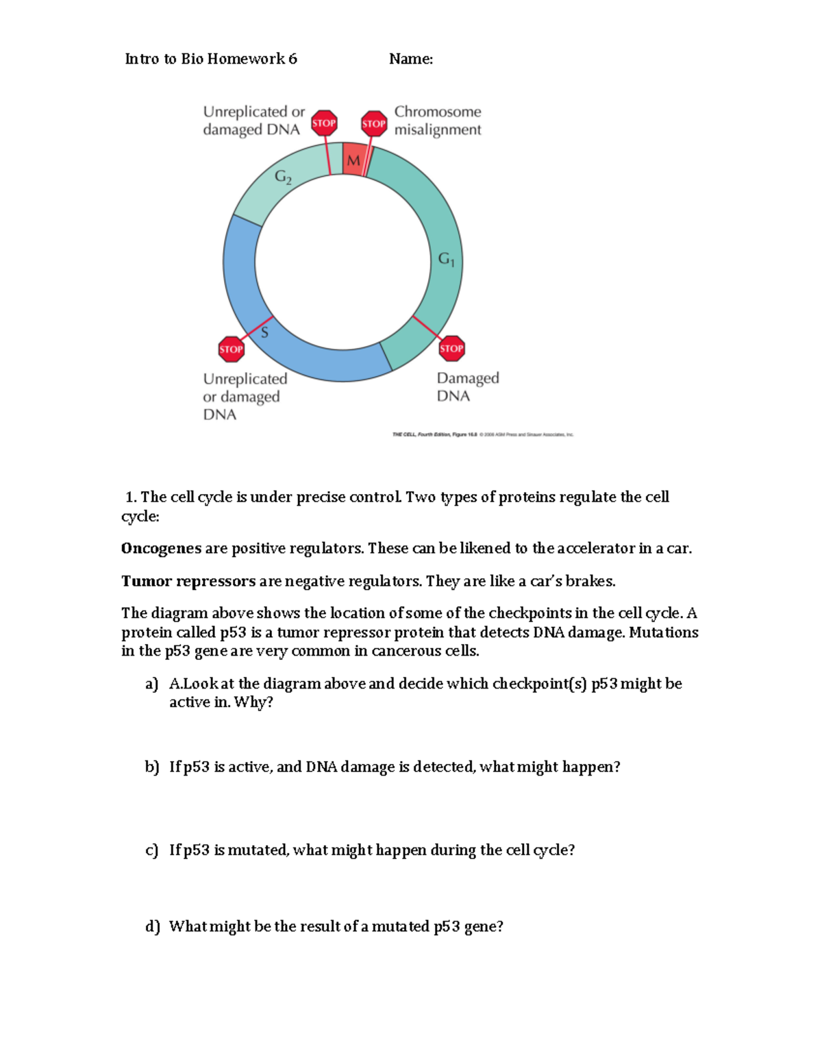 Homework 6 - Intro to Bio Homework 6 Name: 1. The cell cycle is under ...