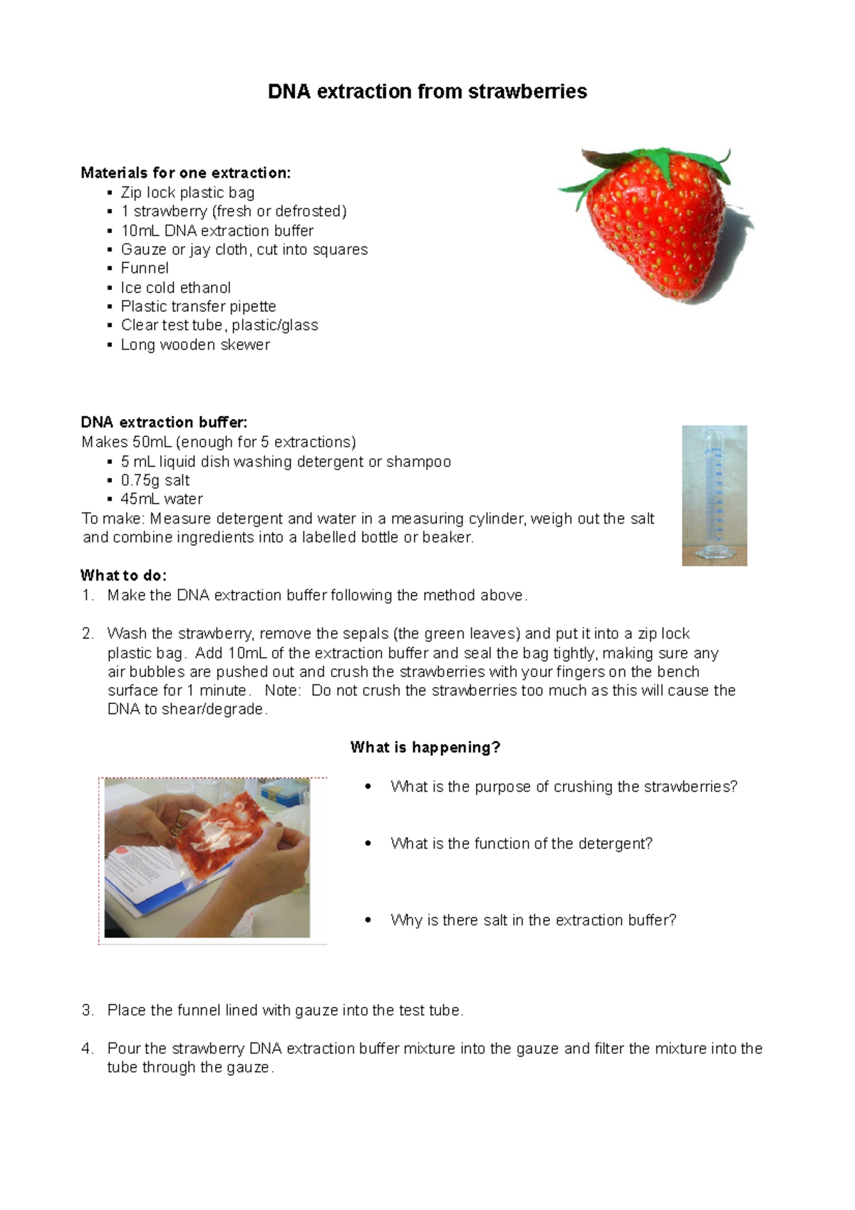3.8b DNA extraction-from-strawberries modifiec - DNA extraction from ...