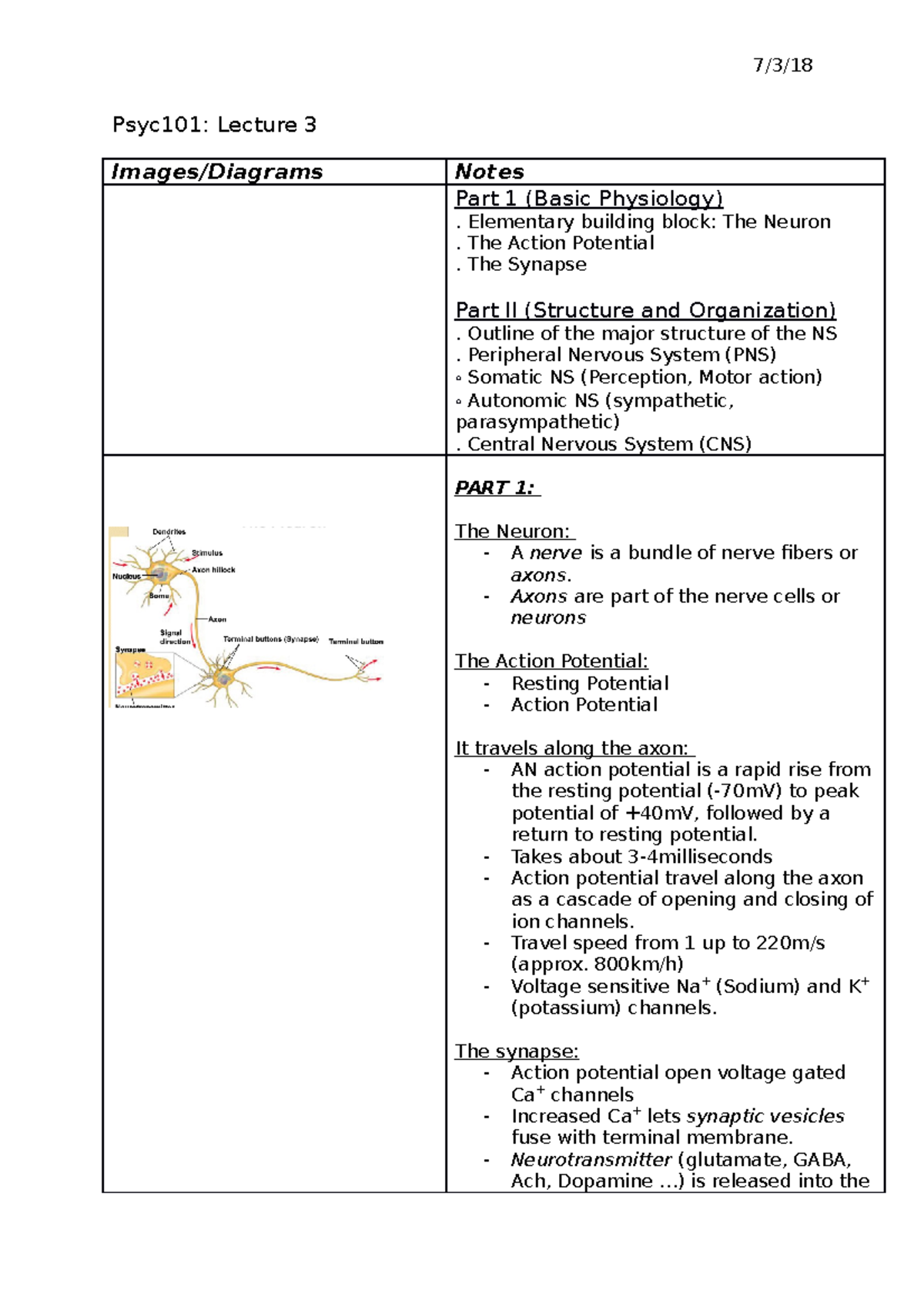Psyc101 - Lecture 3 - Notes on Part 1 (Basic Physiology) . Elementary ...