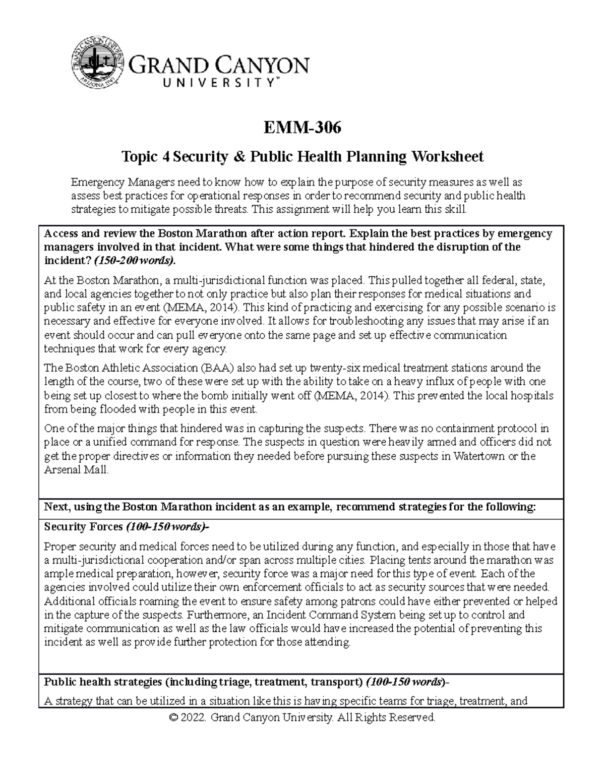 EMM-306.T4.Securityand Public Health Planning Worksheet - EMM- Topic 4 ...