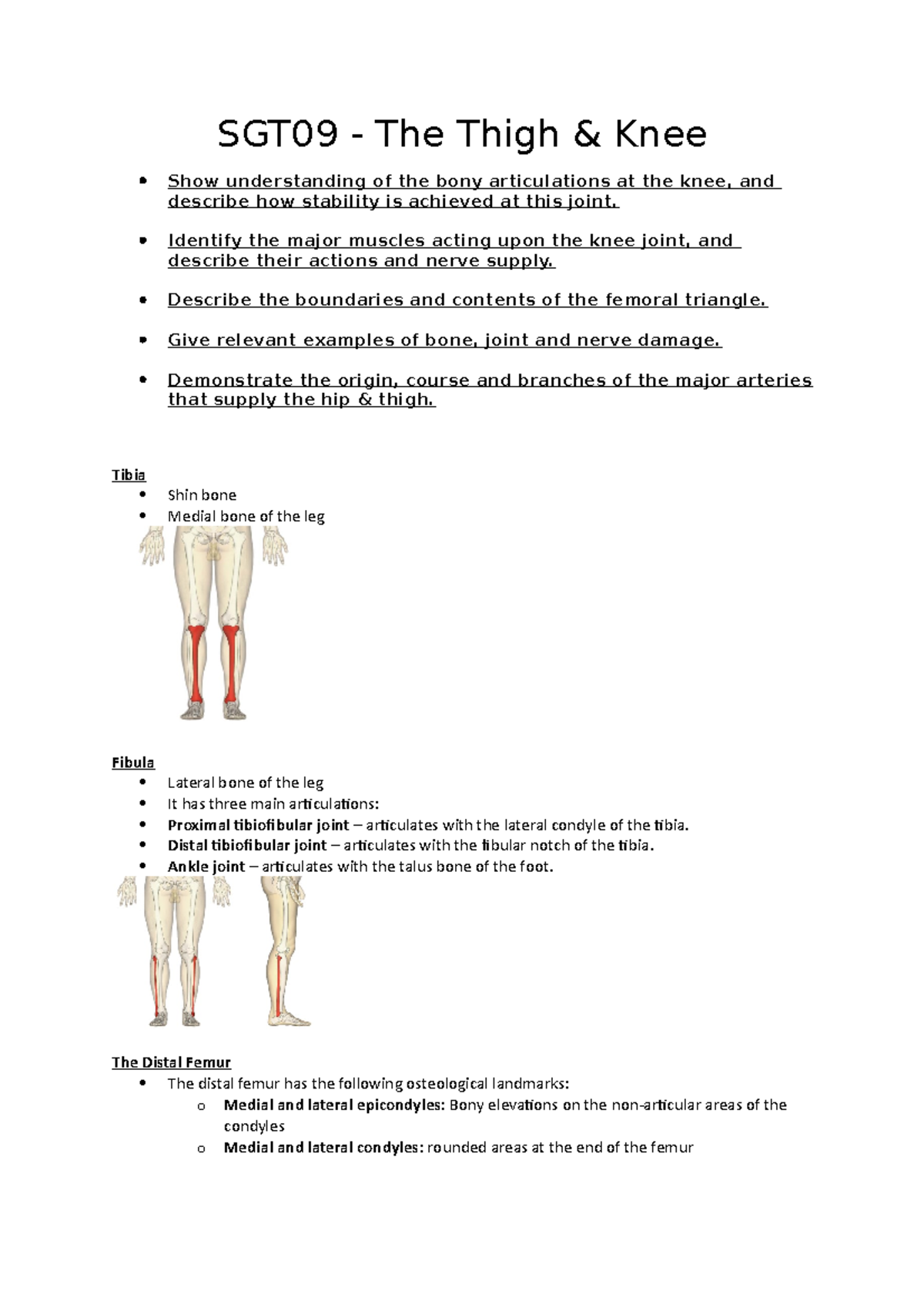 11. SGT09 - The Thigh and Knee - SGT09 - The Thigh & Knee Show ...