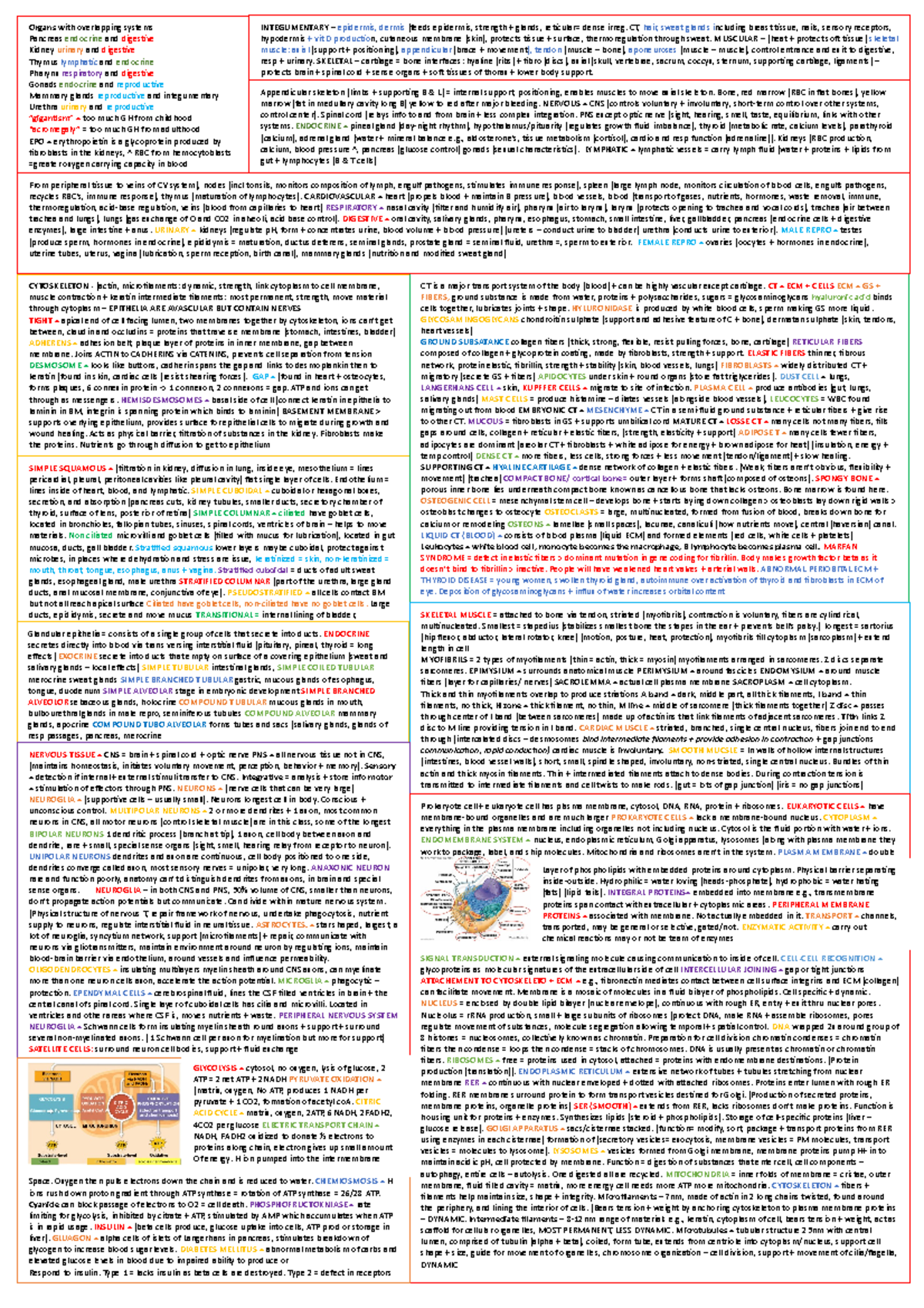 Biosci cheat sheet - Organs with overlapping systems Pancreas endocrine ...