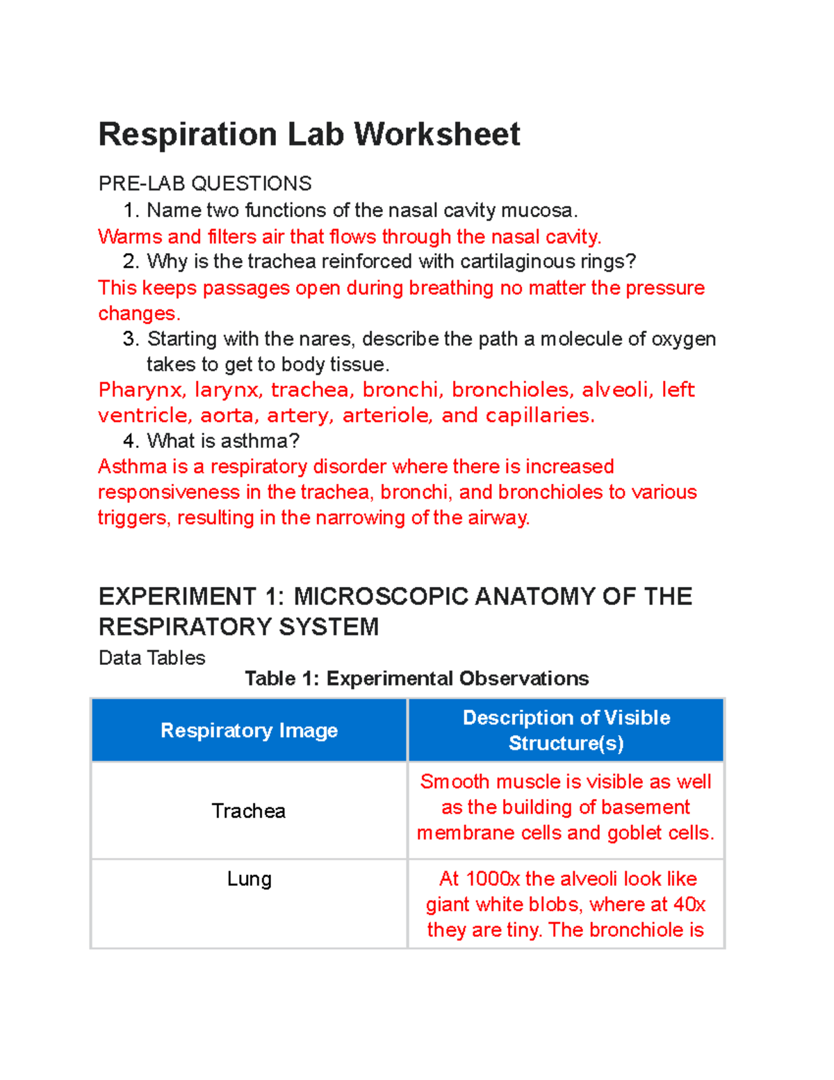 Respiratory Lab WS - Respiration Lab Worksheet PRE-LAB QUESTIONS Name ...