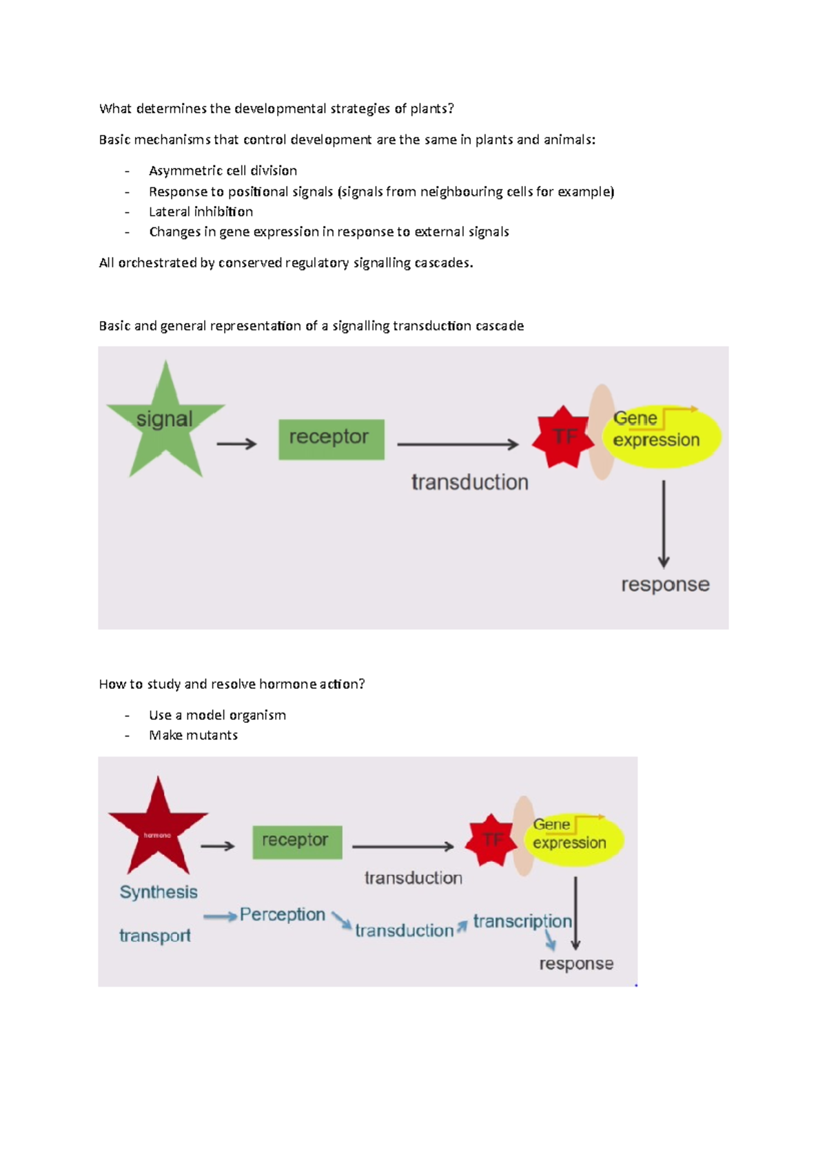Lecture 2, hormonal regulation - What determines the developmental ...