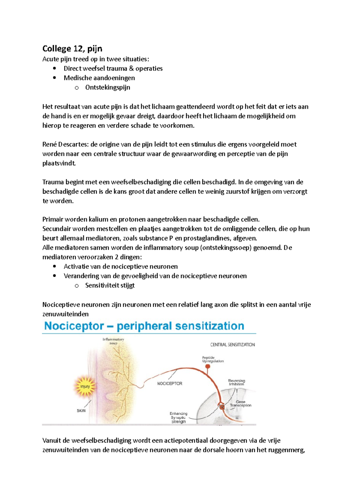 College 13, pijn - College 12, pijn Acute pijn treed op in twee ...