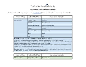CJ 205 Module Four Assignment Template - CJ 205 Module Four Assignment ...