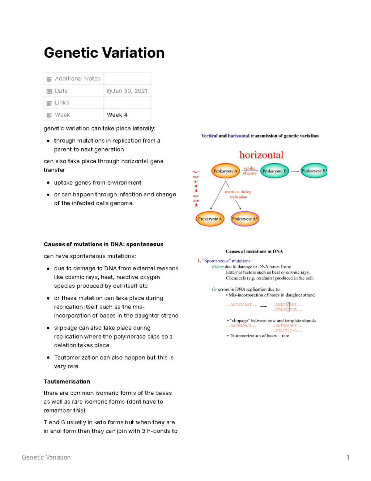 Genetic Variation - Lecture notes 8 - Genetic Variation Additional ...