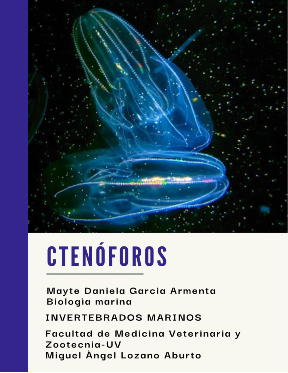 Cuestionario Ctenóforos - CUESTIONARIO ¿Cuáles son las características ...