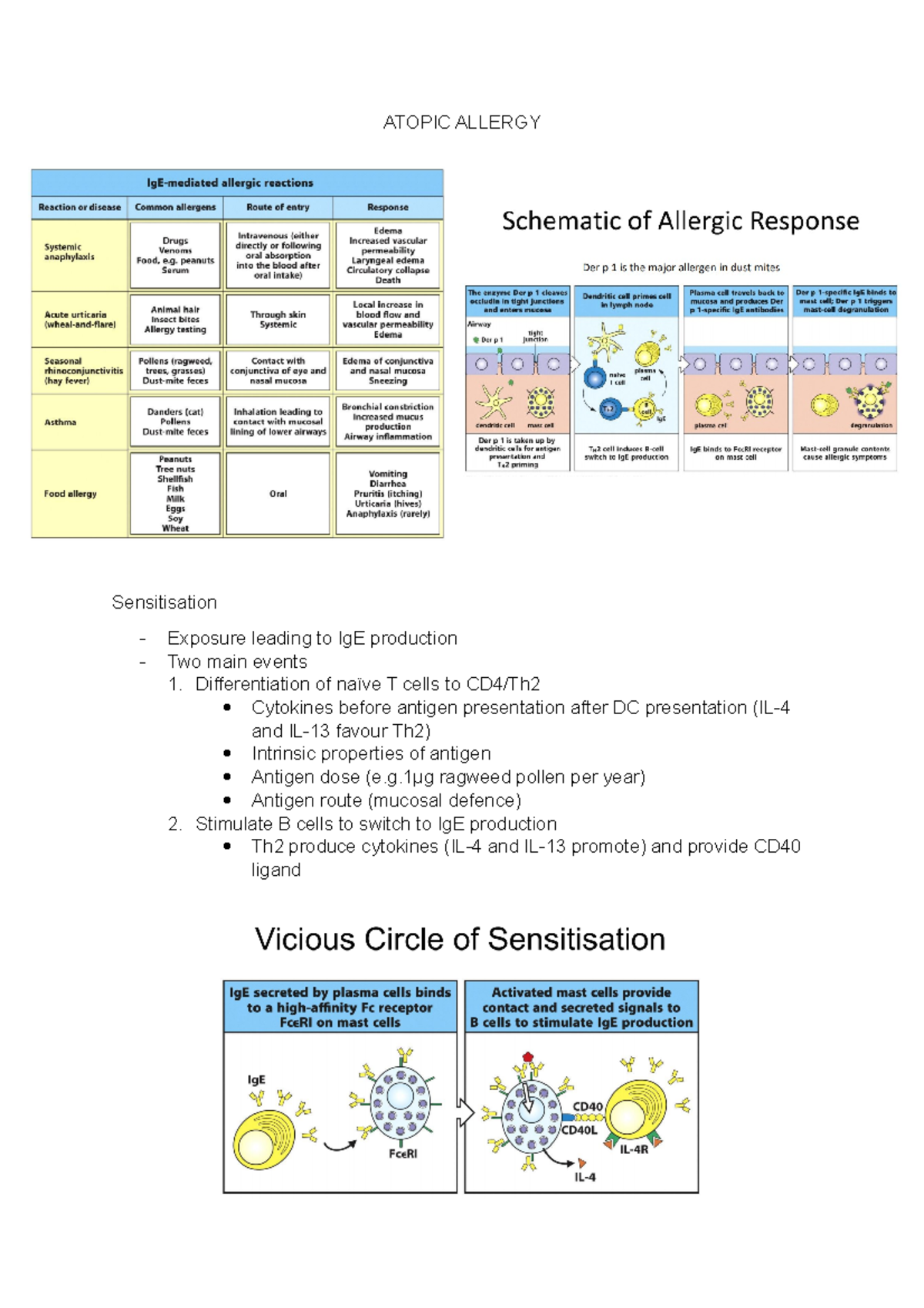 Atopic Allergy - Concise notes with any extra information given in ...