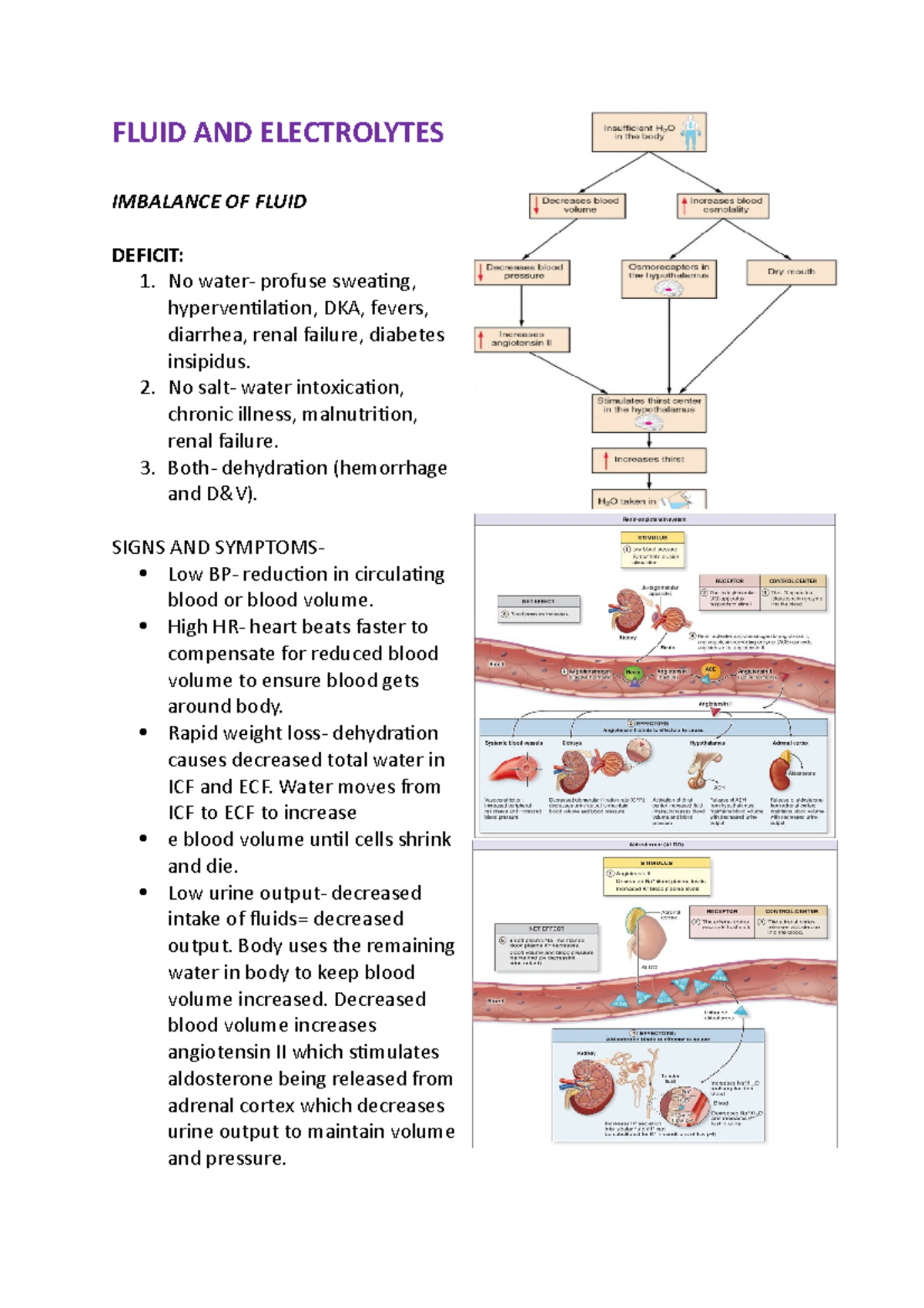 Fluid and Electrolytes Exam Notes - FLUID AND ELECTROLYTES IMBALANCE OF ...