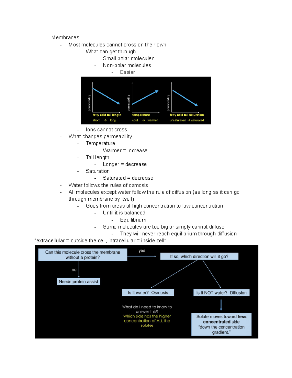 Membranes pt. 2 - Lecture notes on the 2nd membrane lecture, Dr ...