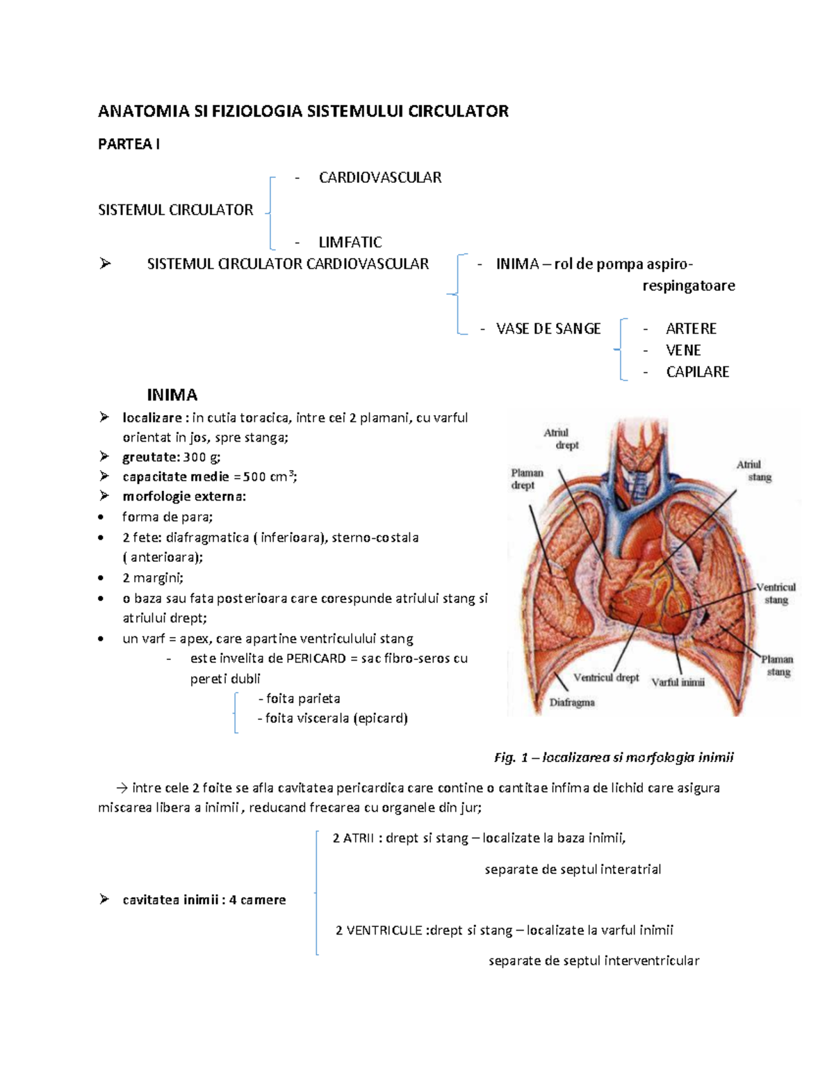 Anatomia SI Fiziologia Sistemului Circulator - ANATOMIA SI FIZIOLOGIA ...