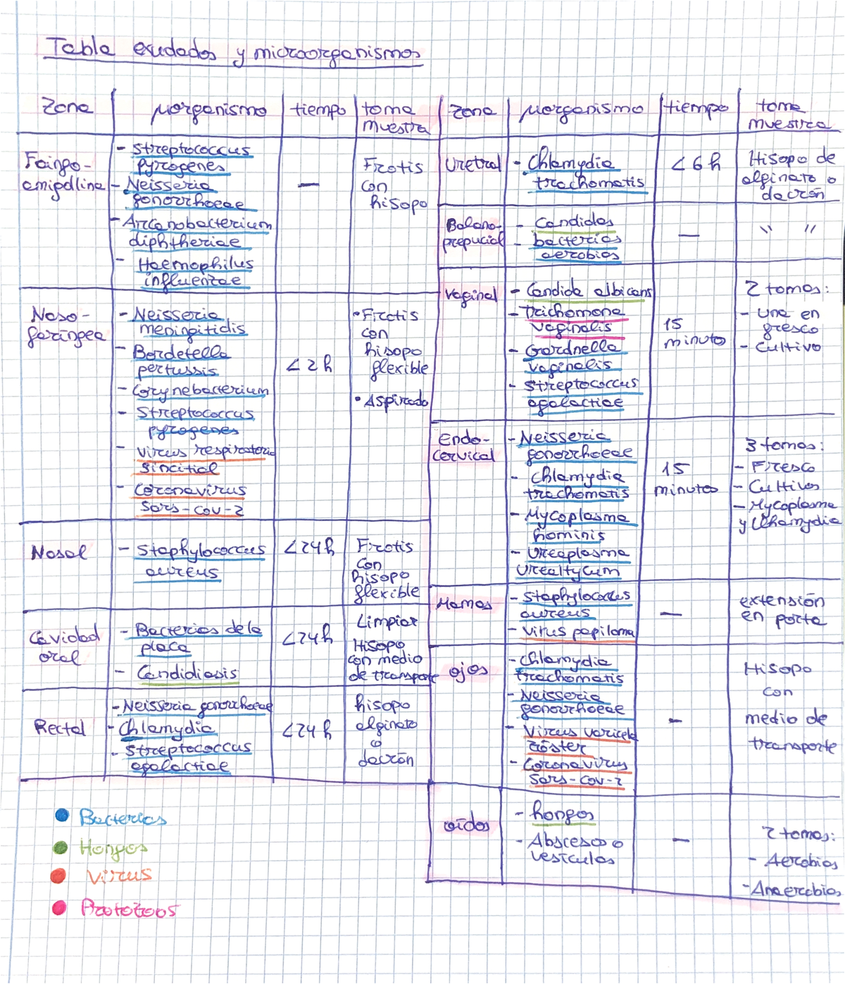 Tabla exudados microorganismos. GMB. Laura Ávila - Biología II - Studocu