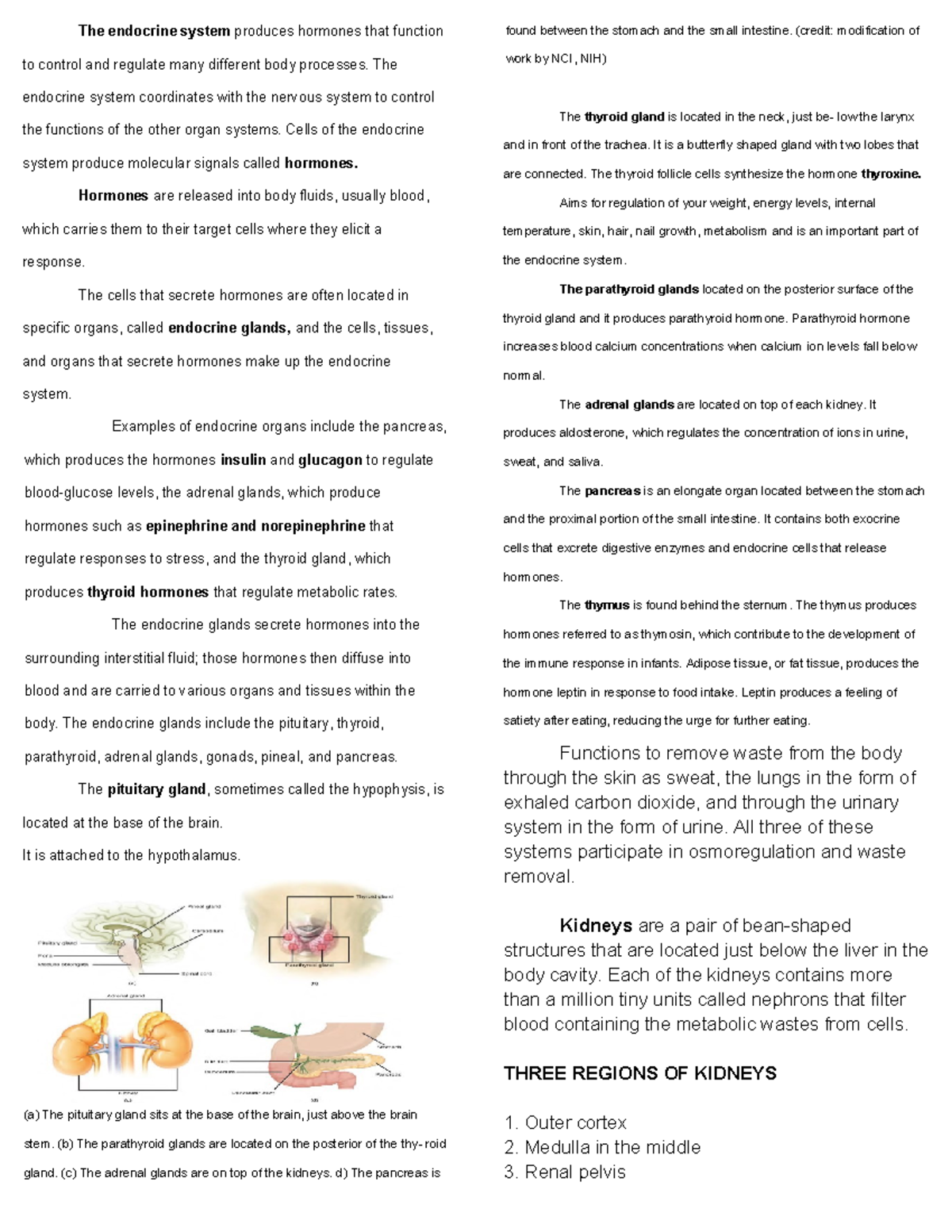 Reviewer zoology - The endocrine system produces hormones that function ...