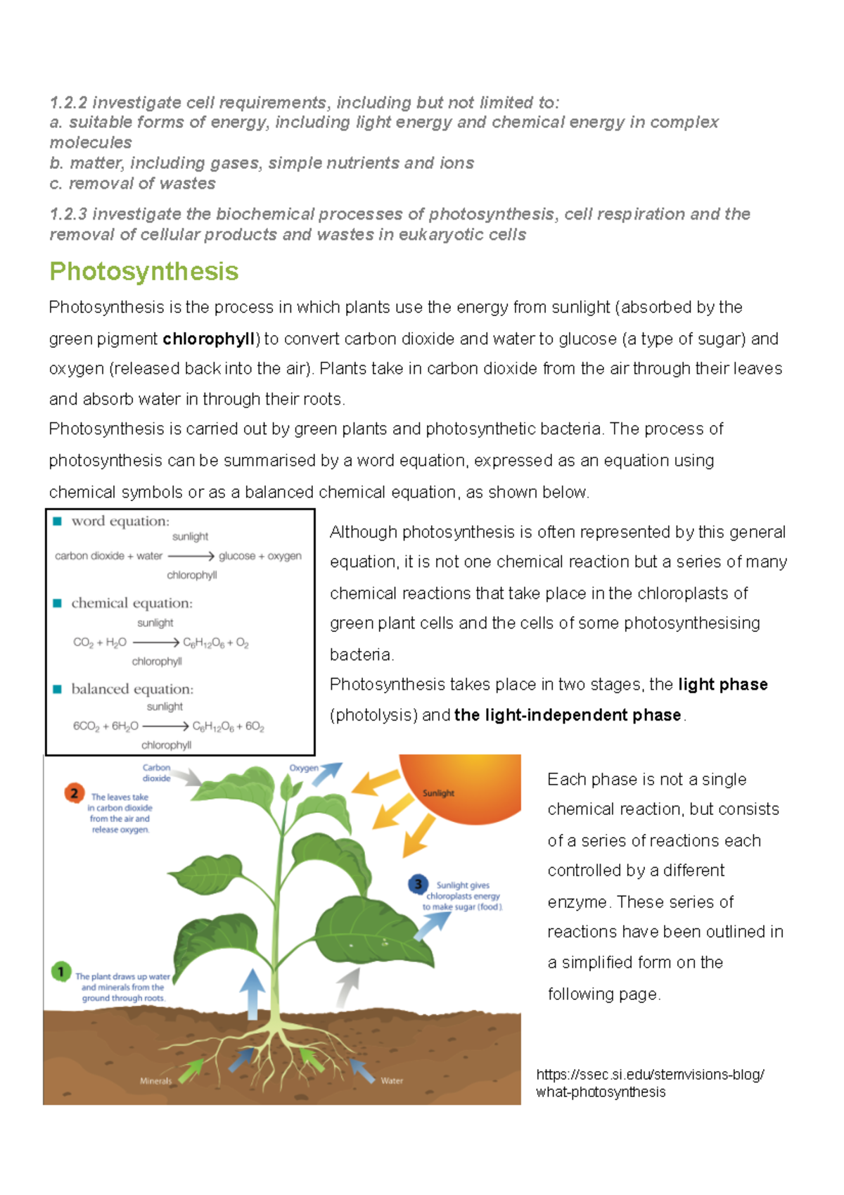 Photosynthesis and respiration worksheet - Photosynthesis ...