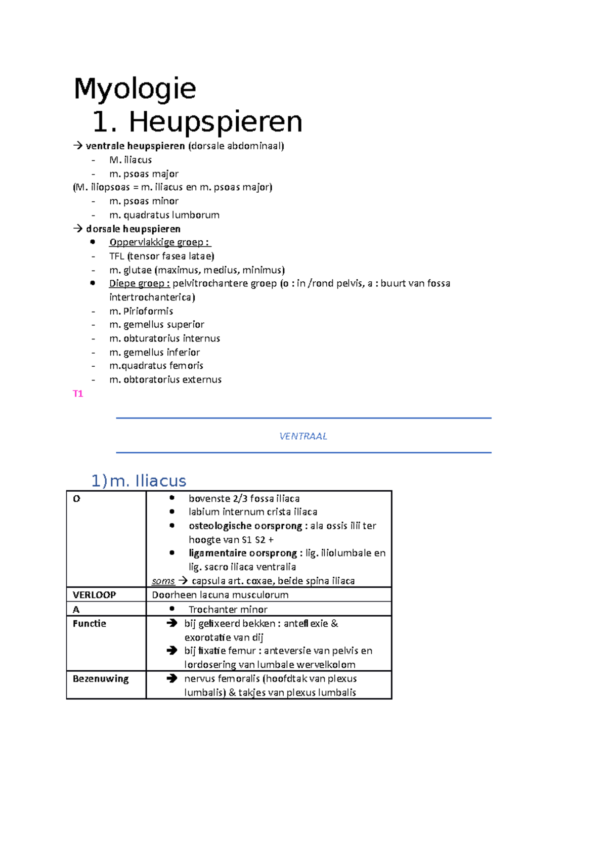 Myologie - Heupspieren ventrale heupspieren (dorsale abdominaal) M ...