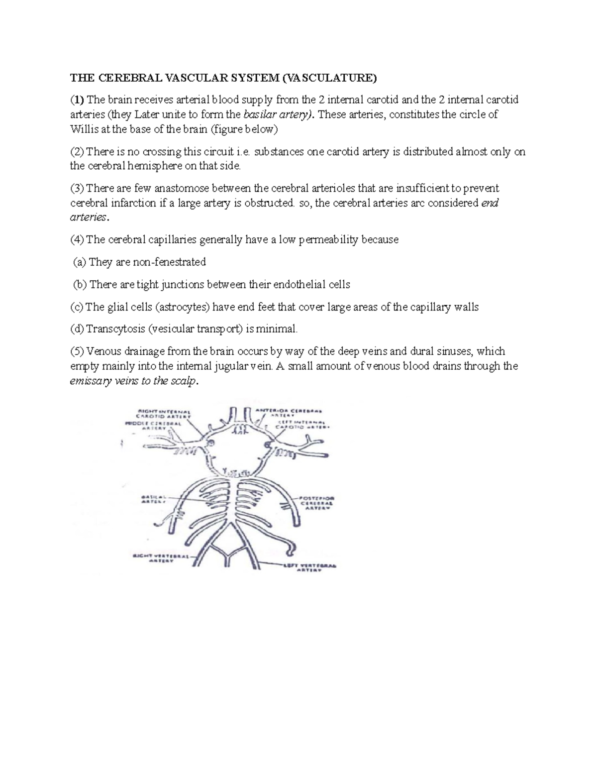 THE Cerebral Vascular System - THE CEREBRAL VASCULAR SYSTEM ...