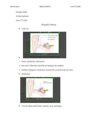Song form Identification Guide - SONG FORM IDENTIFICATION GUIDE Song ...
