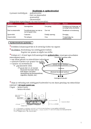 Bindweefsel - Bindweefsel Structuren die cellen met elkaar verbinden of ...