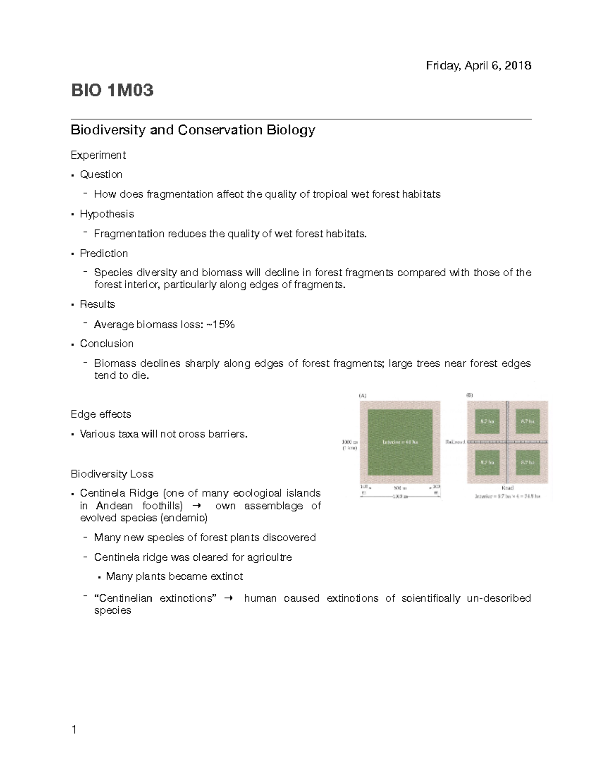 BIO 1M03 - Biodiversity and Conservation Biology - Friday, April 6 ...